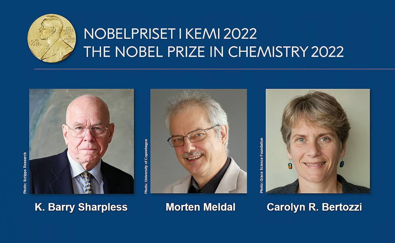 Premio Nobel de Química 2022 para procesos más sencillos y funcionales - Fundación Descubre